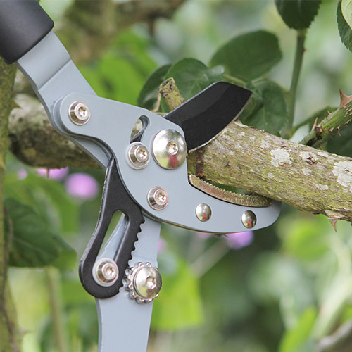 Darlac Telescopic Anvil Geared Lopper DP41