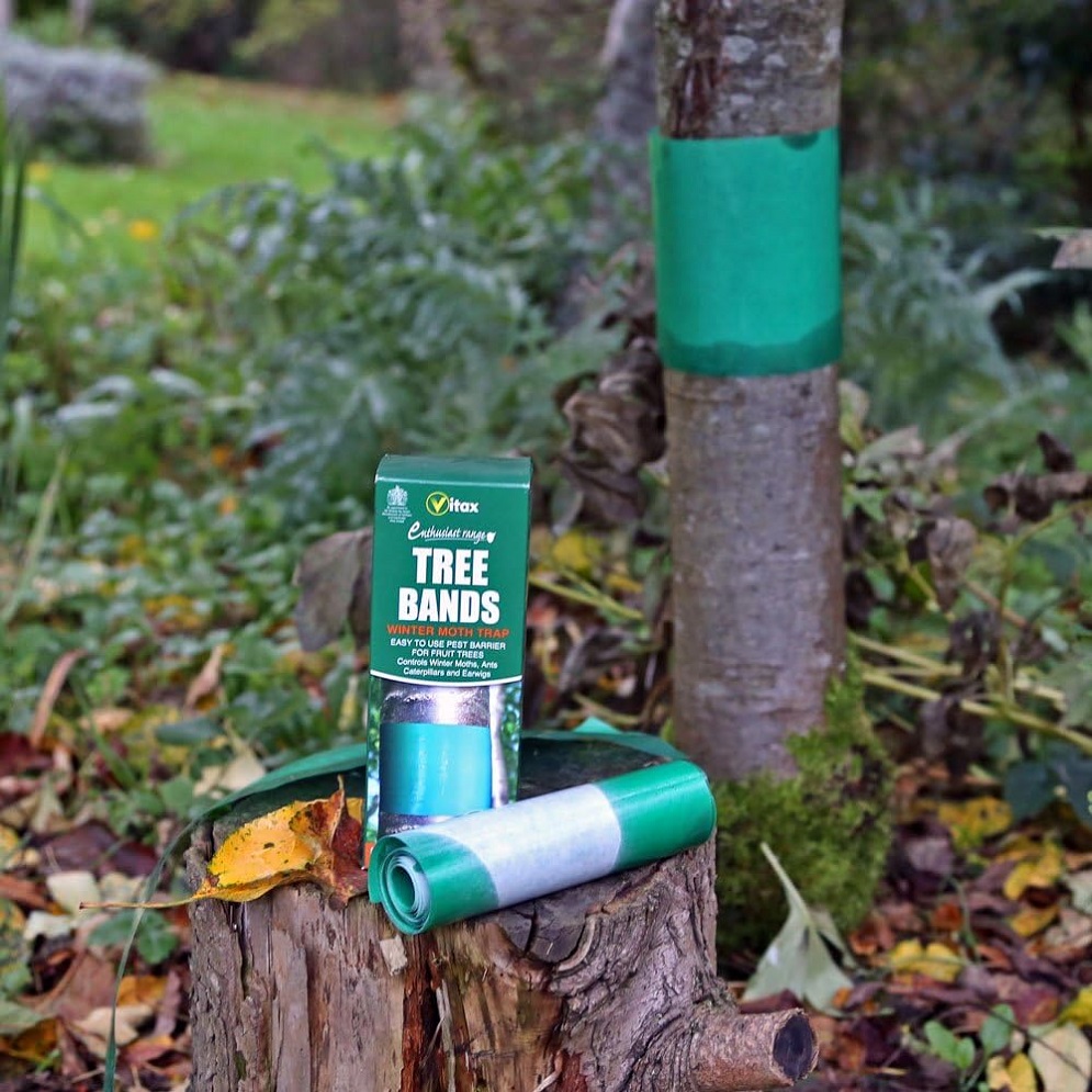 Vitax Tree Bands Pest Trap