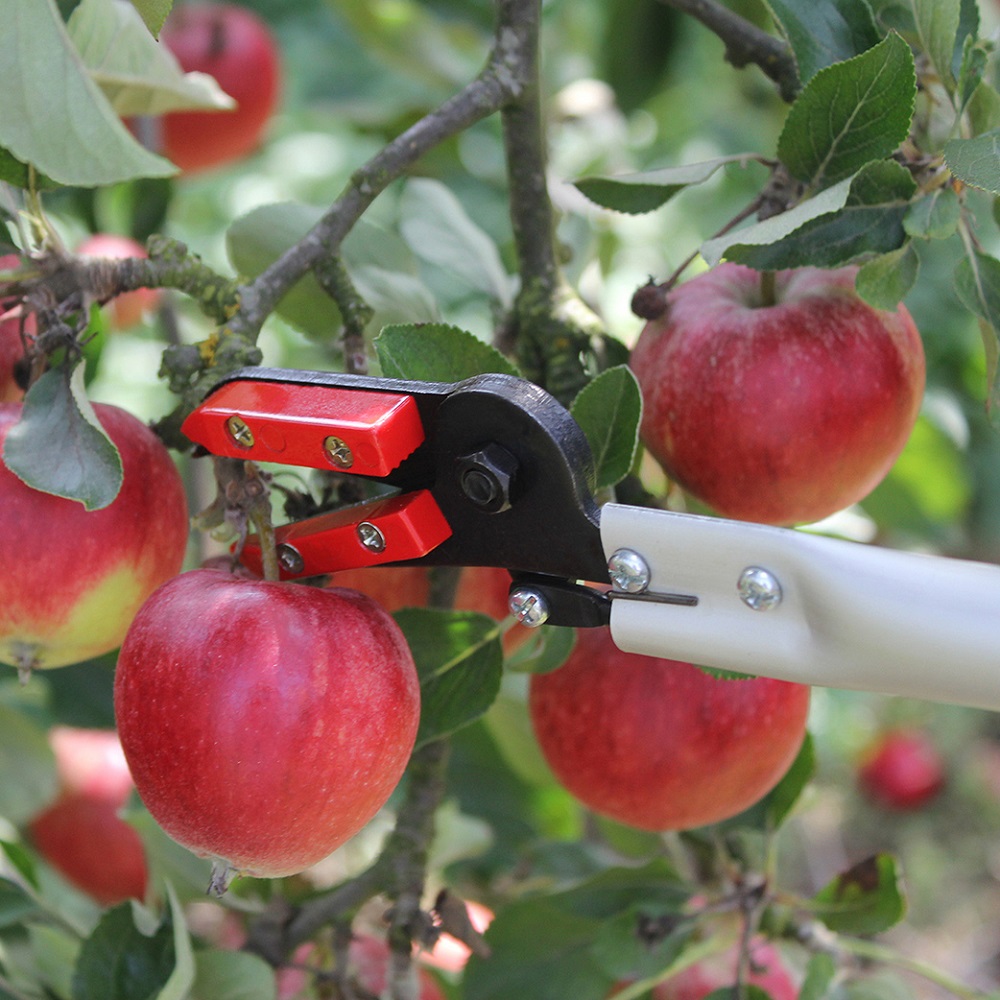 Darlac Cut'N'Hold Snapper DP110-1000mm