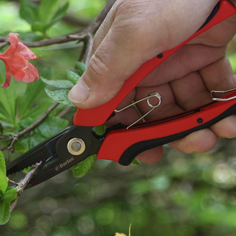 Darlac Cut'n'Hold Flower Snips