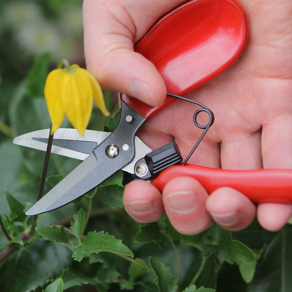 Darlac Floral Shears DP830