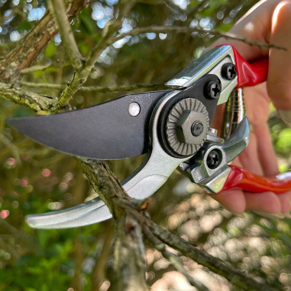 Darlac Small Bypass Pruner DP930